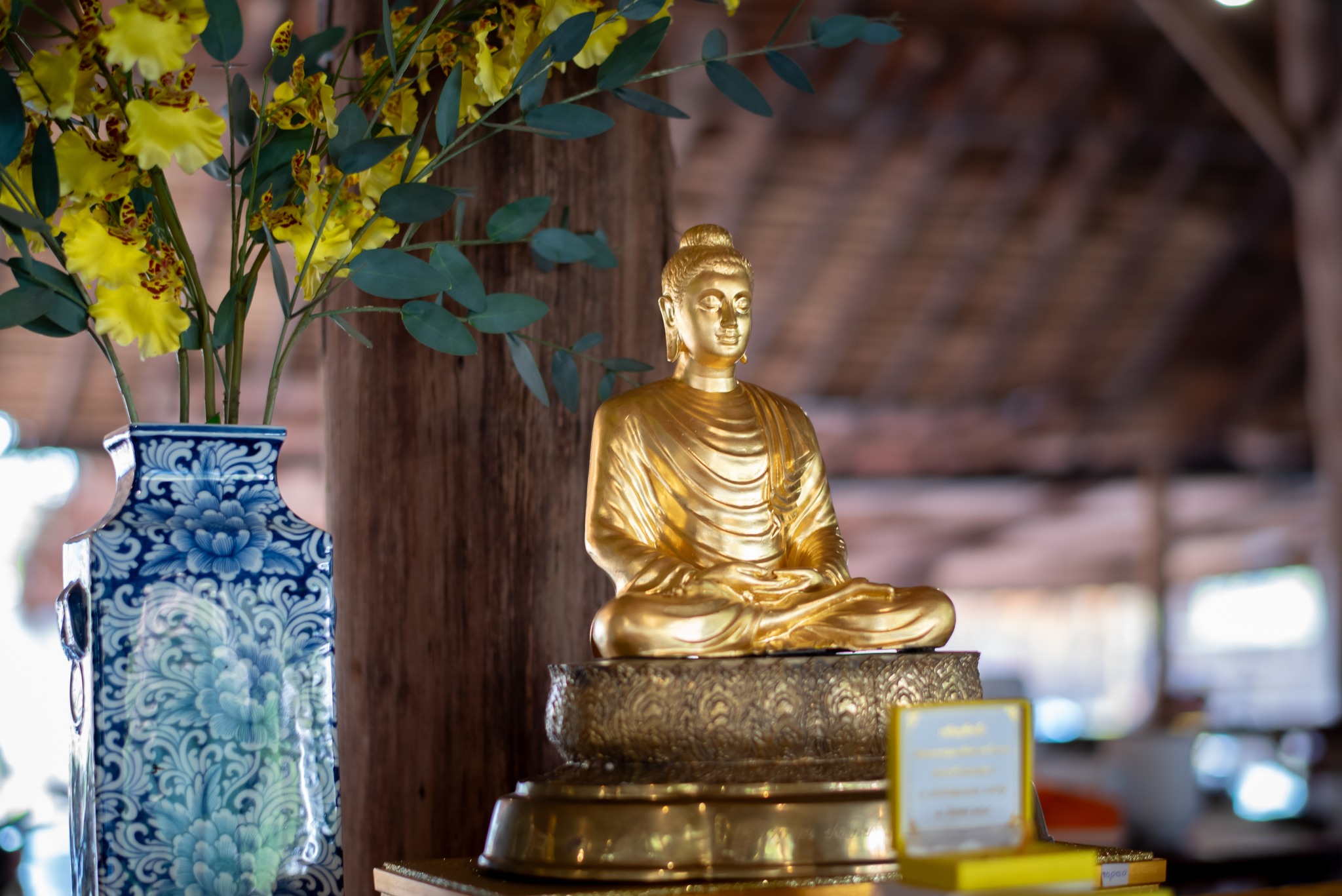 Global Icons Return for Vipassana Practice with Ajarn Acharawee at ...